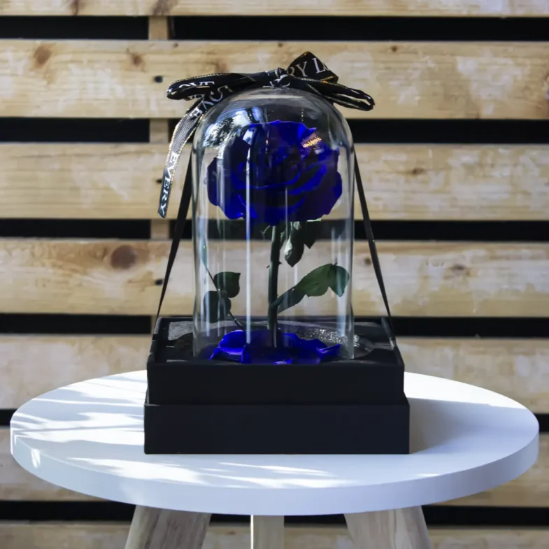 Blue Forever Rose - BLOMMAROSE