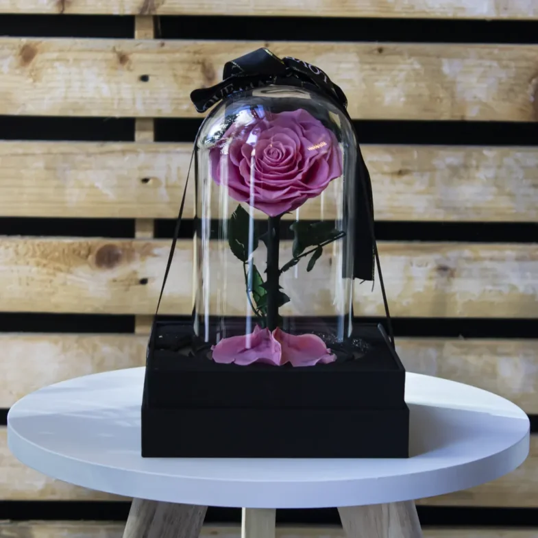 Neon-Pink Forever Rose - BLOMMAROSE