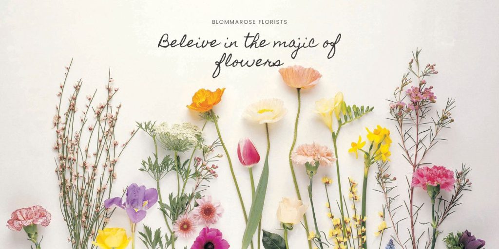 Why are flowers important in our lives? - BLOMMAROSE